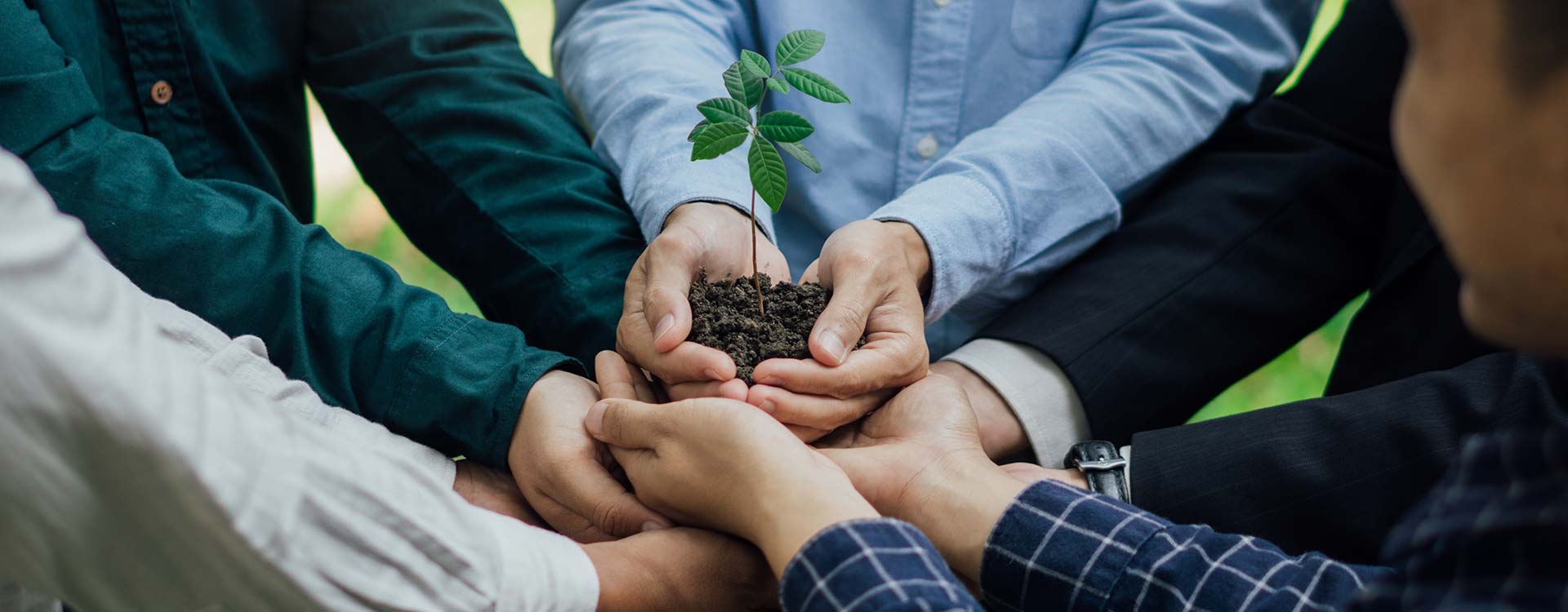 How an Ecosystem Impacts a Team’s Ability to Be Resilient